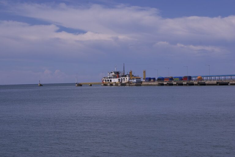 Port of Entry vs. Port of Exit: Perbedaan dan Signifikansinya dalam ...