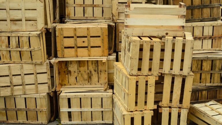 Rekomendasi Jenis Kayu yang Kuat untuk Packing Barang | Boska Logistik ...